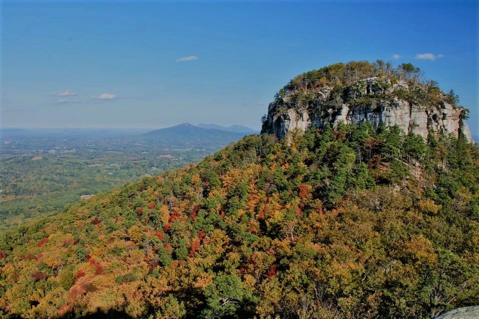 The Pilot Foundation