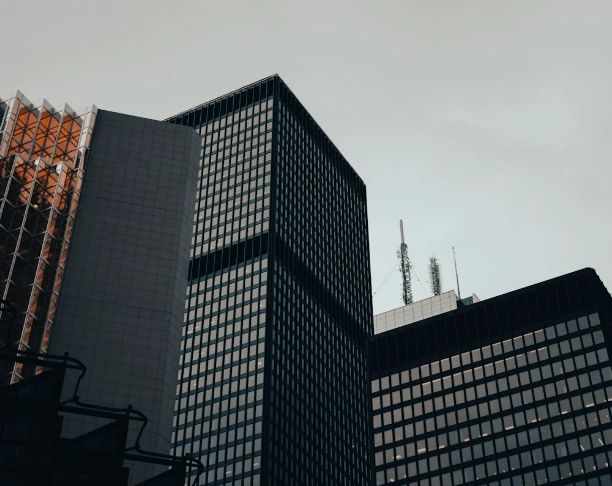 Omni Work Solutions, LLC