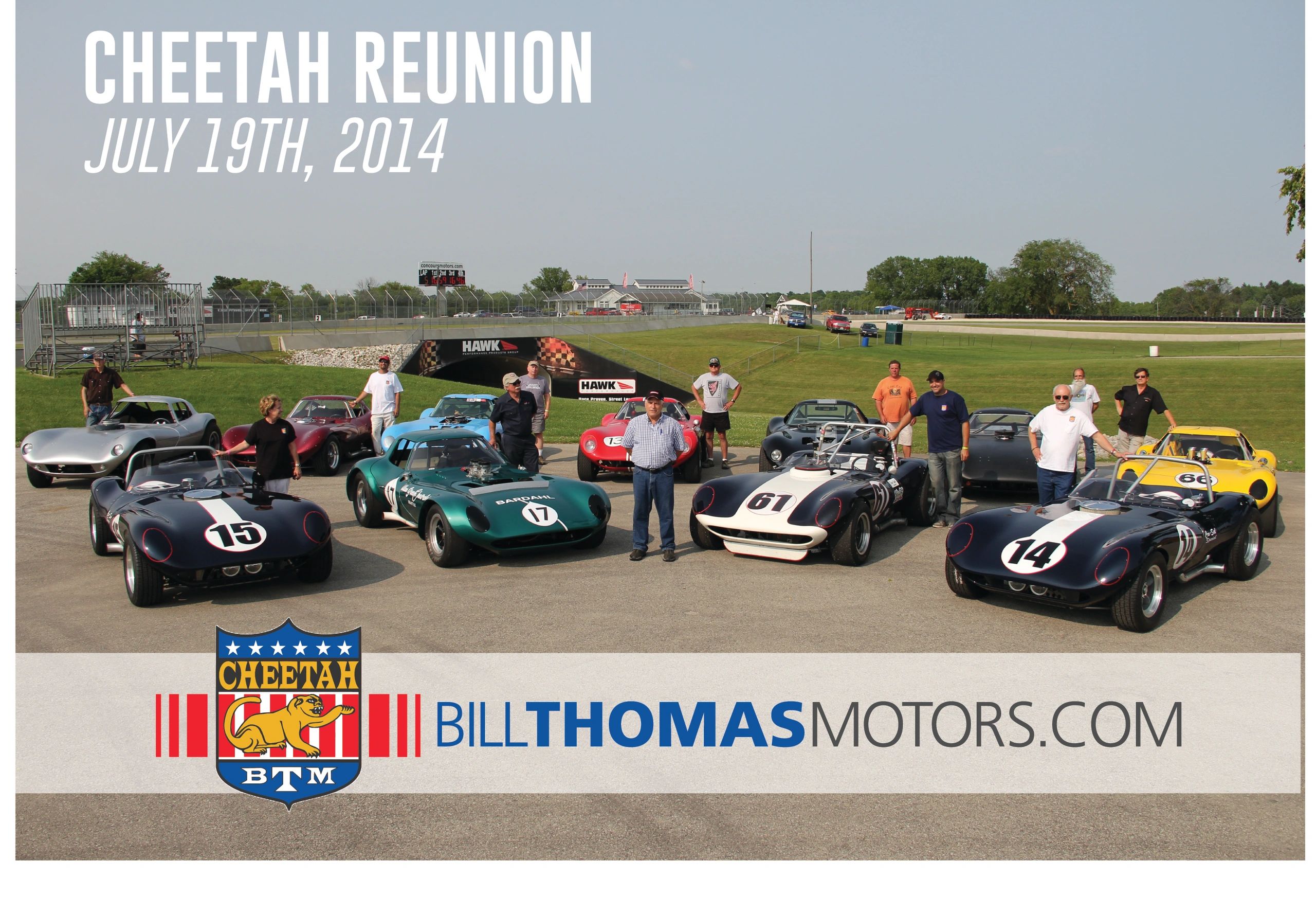 Cheetah Running Race Car Racing