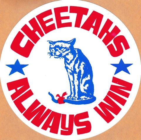 Cheetahs Always Win