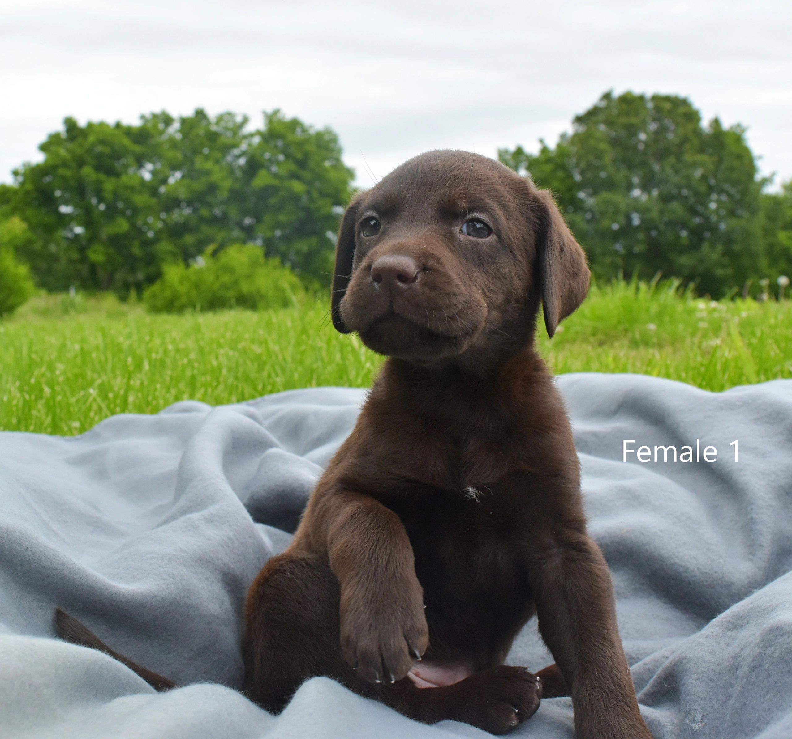 Ready to go home now