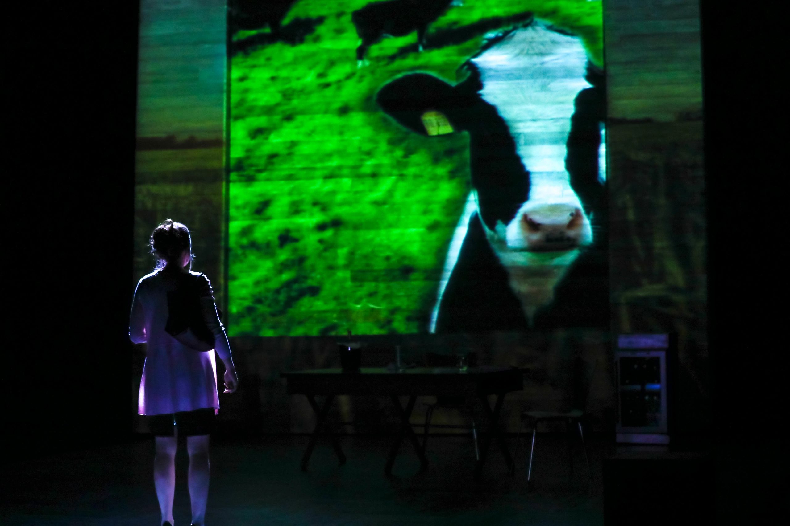 THEATRE REVIEW: A Visit to "Dairyland" at PlayMakers Rep