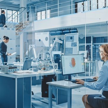 Expert Workplace Consultancy Services | Maven