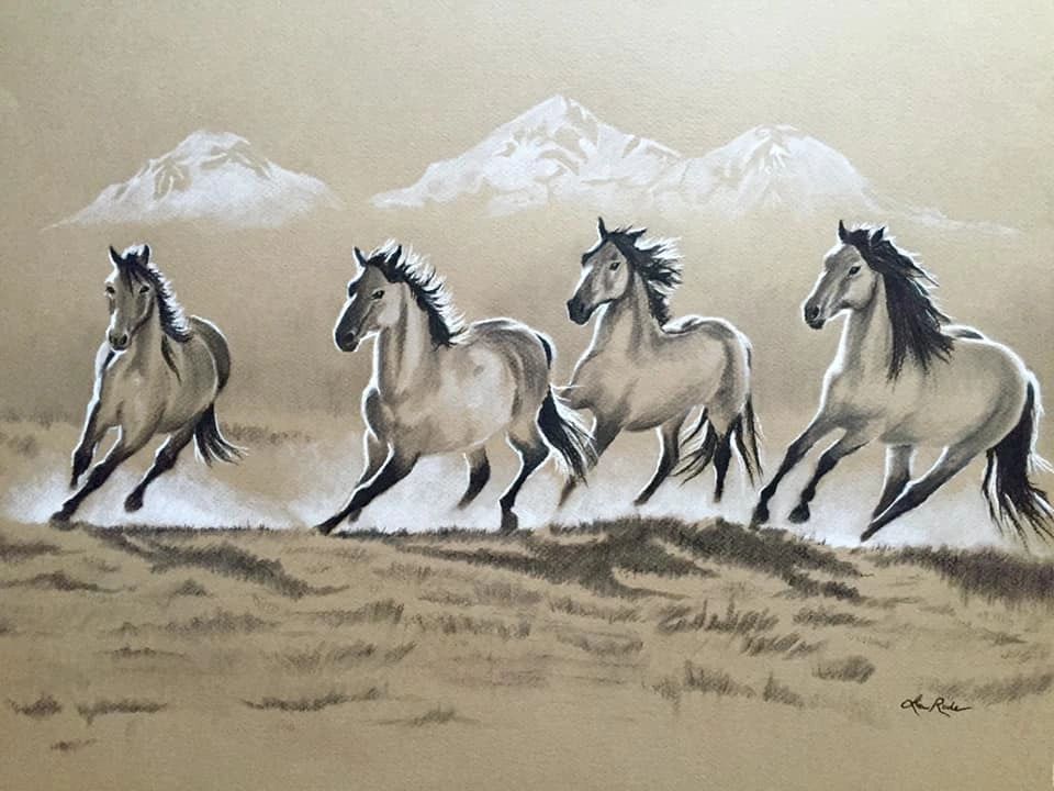 Wildlife Art & Fine Art Drawings by Lisa Rode