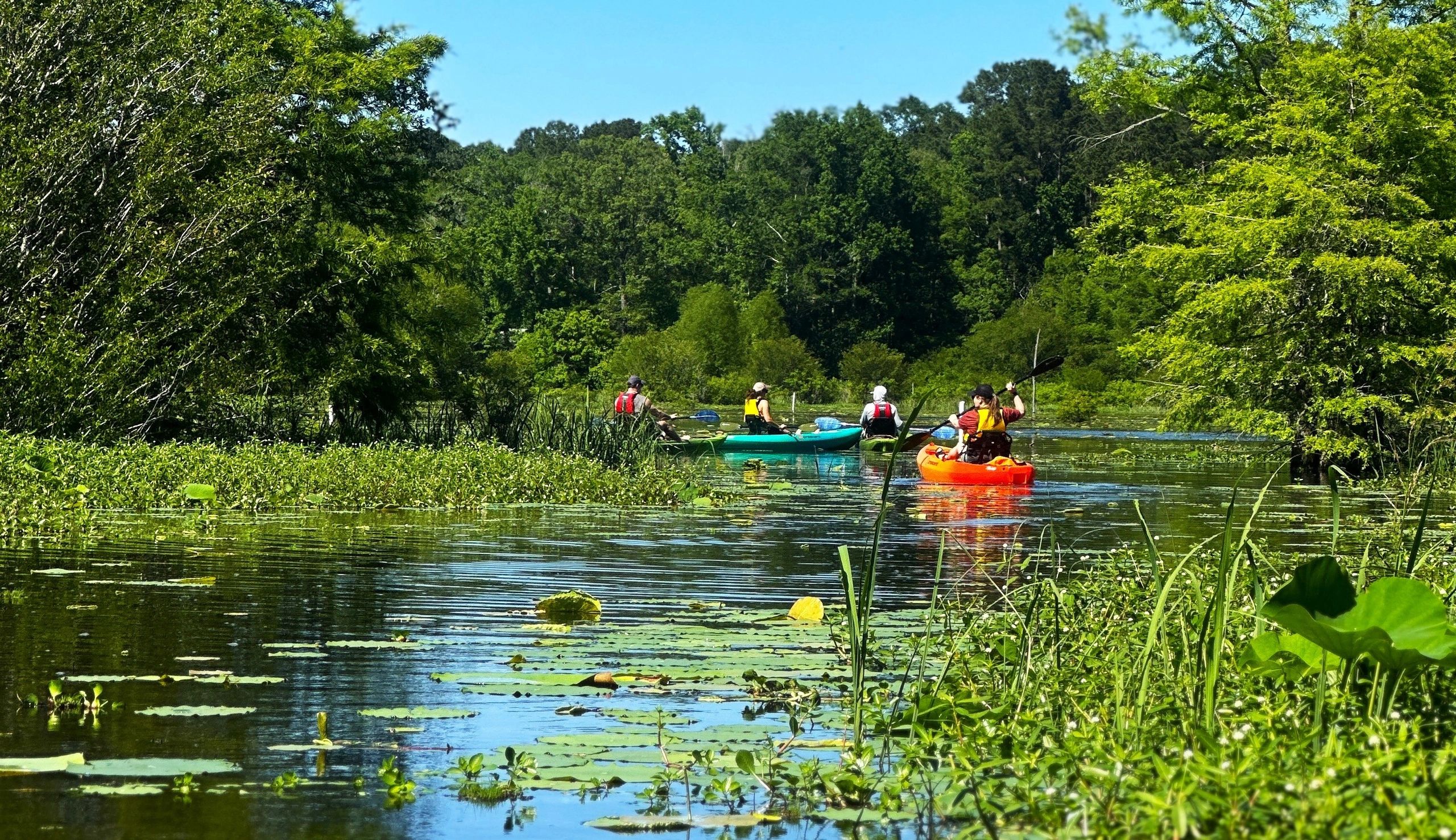 Toledo Bend Kayak Rental, LLC - Crescent Shoalie Kayak, Crescent Ck1 ...