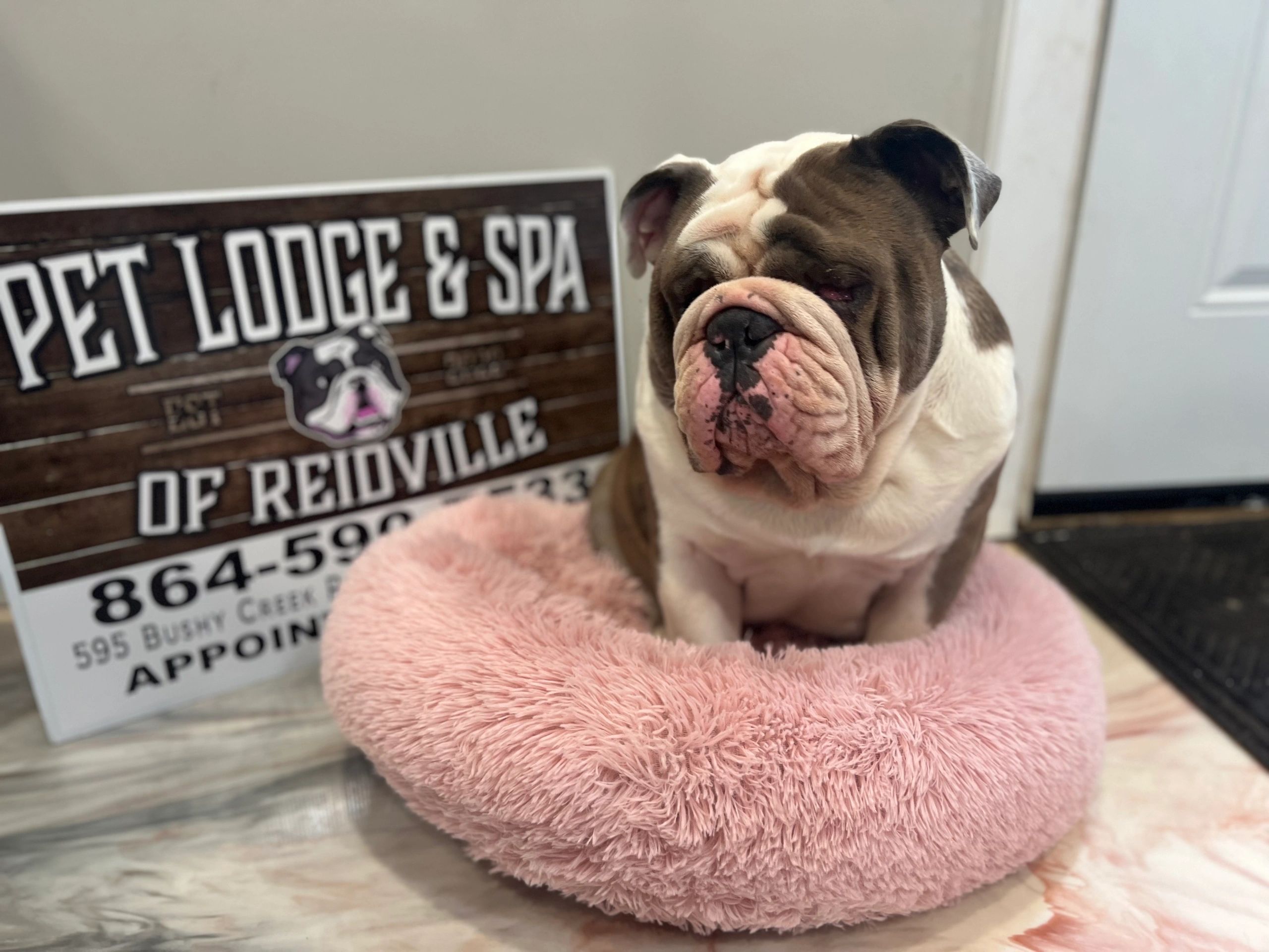 Pet Lodge and Spa of Reidville - Pet Boarding, Daycare