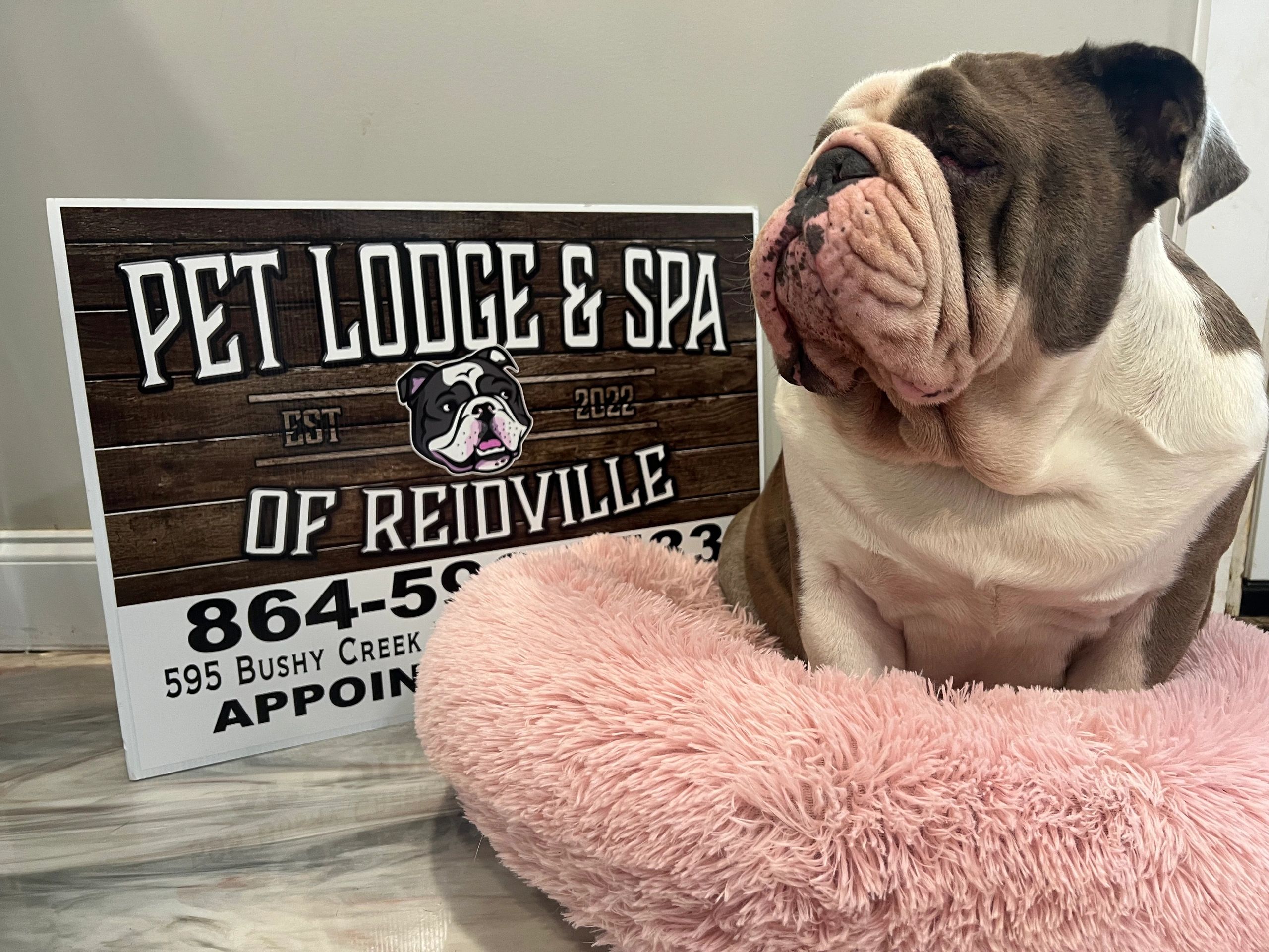 Pet Lodge and Spa of Reidville - Pet Boarding, Daycare