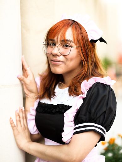 Meet the Maids