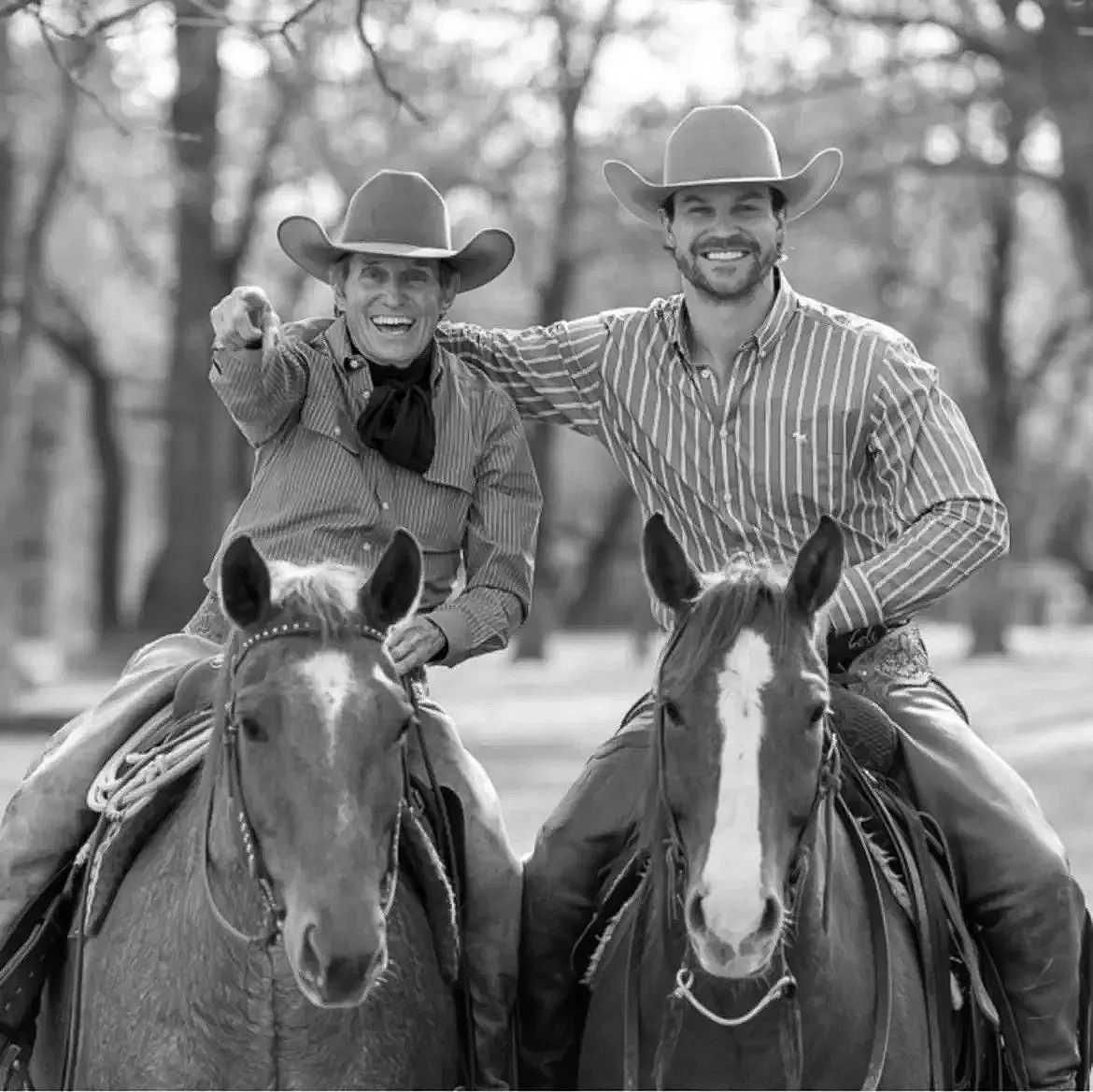 Meet The Team | Cameron Horsemanship & Performance Horses