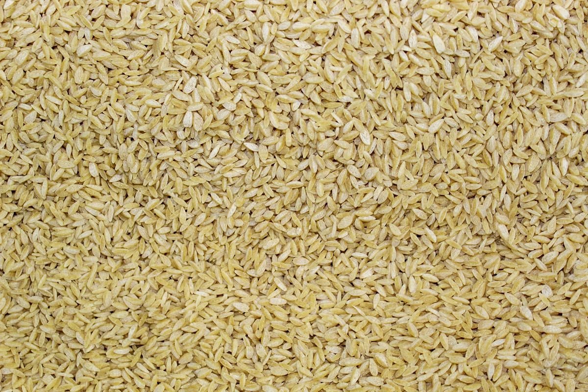 Semolina Orzo Pasta
