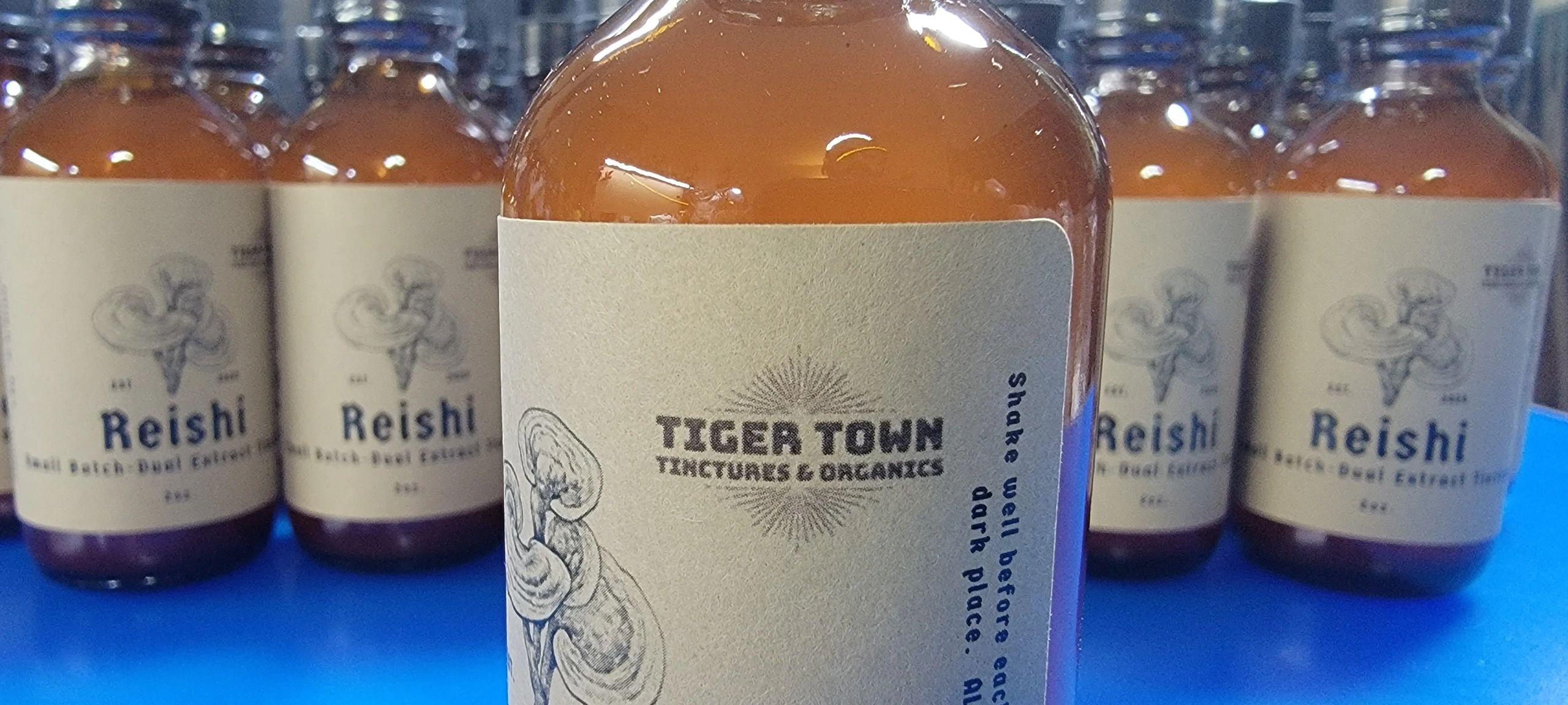 Tiger Town Tinctures & Organics - Ganoderma Lucidum, Mushroom, Lion's ...