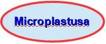 Microplastusa.com