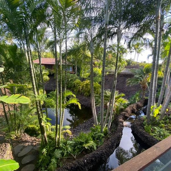 Landscaping and Hauling - Kailua-Kona, Hawaii