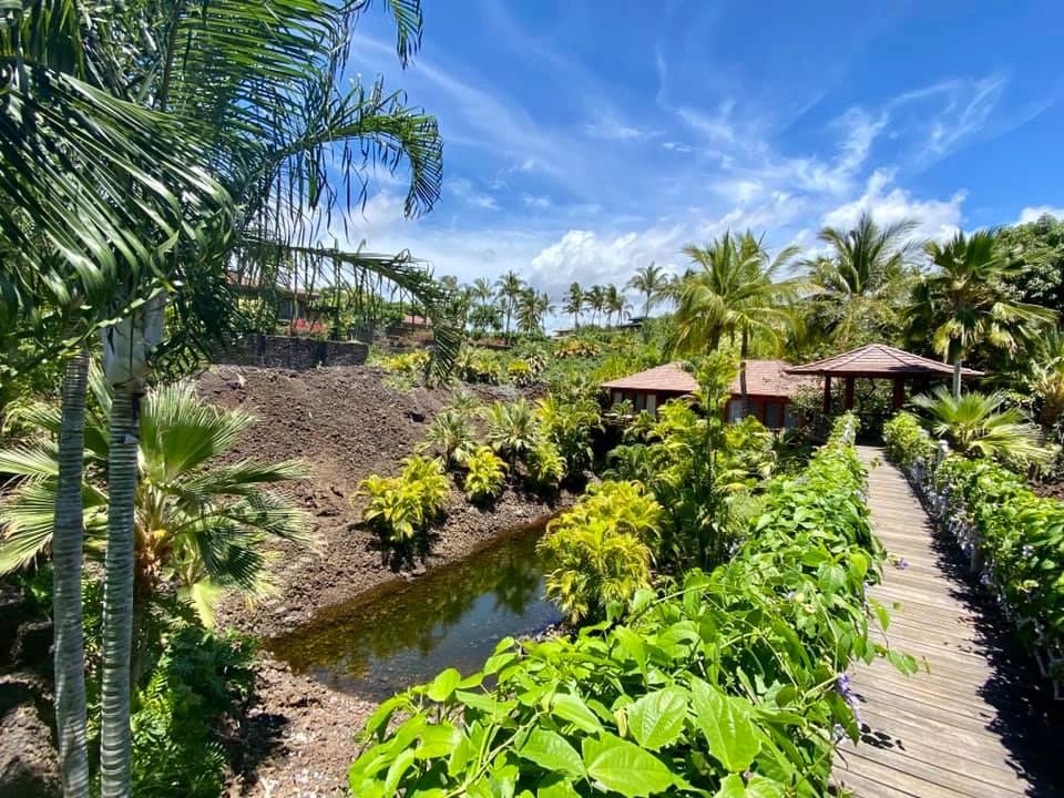 Landscaping and Hauling - Kailua-Kona, Hawaii