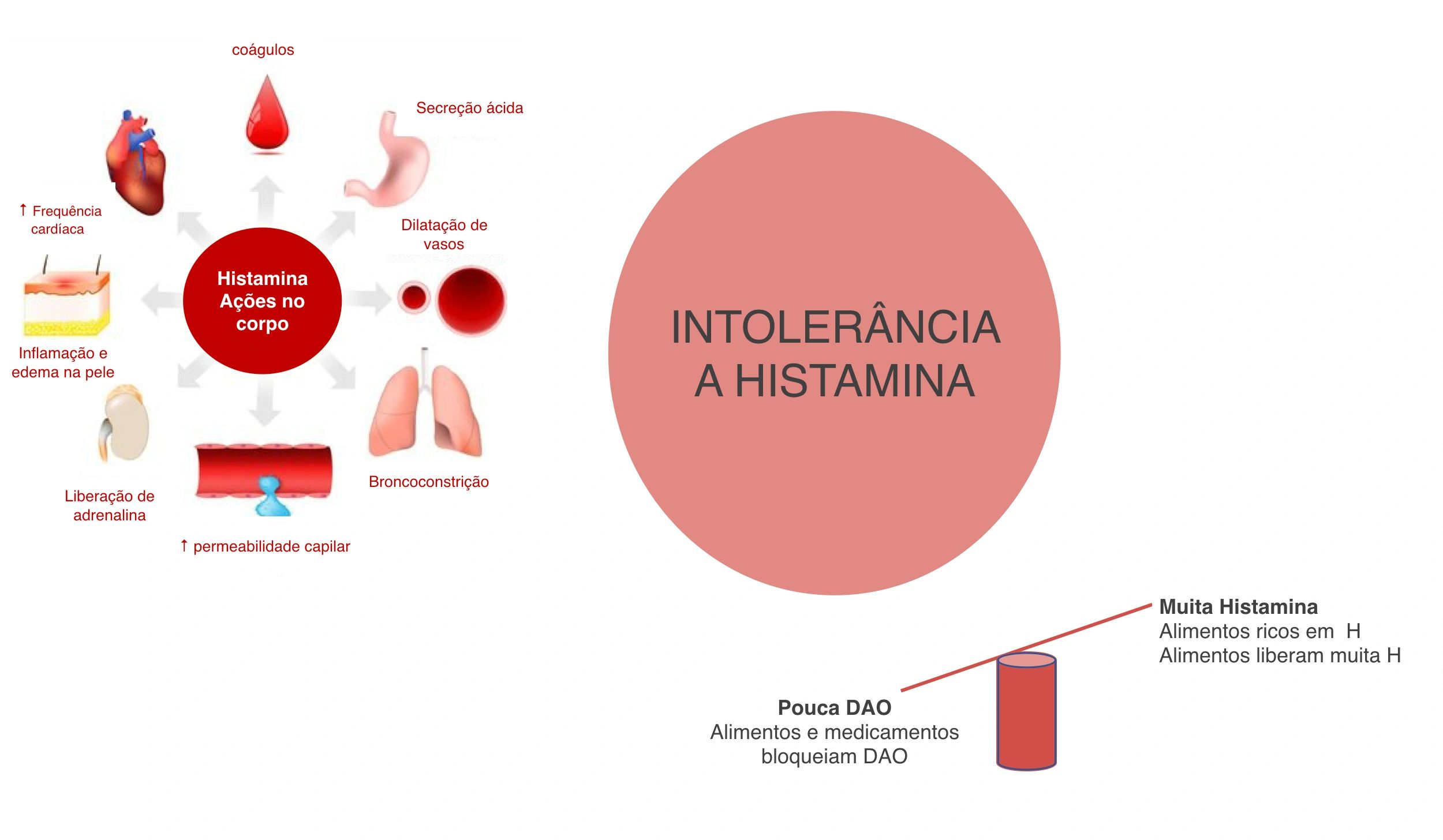 Histamina e Hormônios Sexuais