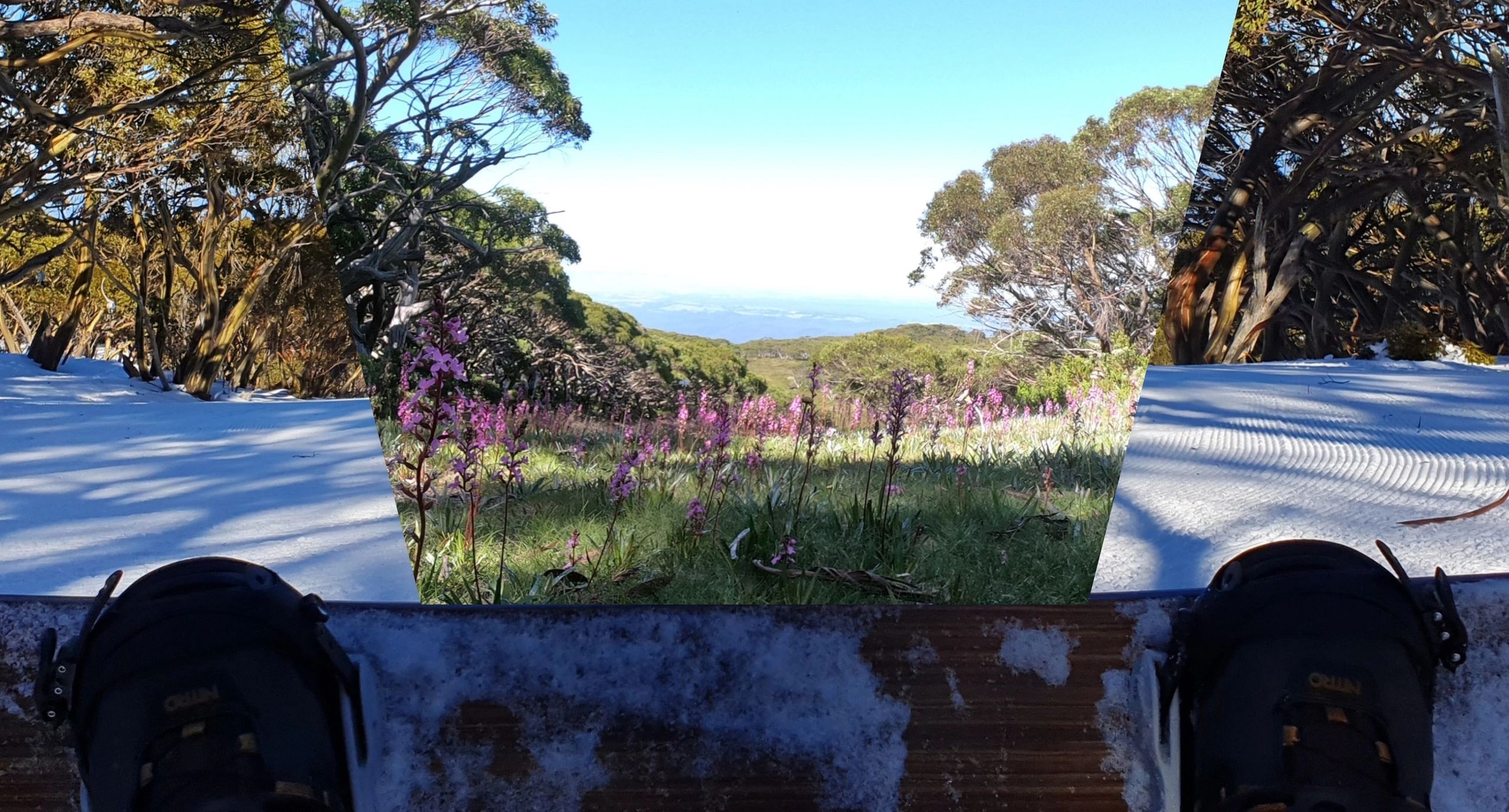 Aussie Backcountry - Explore, Snowboarding, Hiking