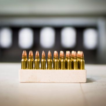 Action Defense LLC - Concealed Carry Classes, CCW Class