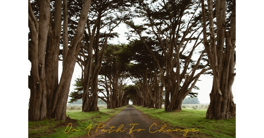 Gallery | On A Path To Change