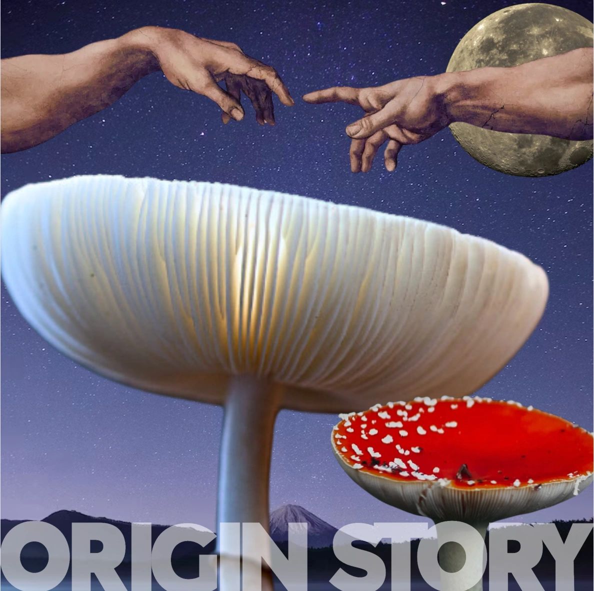 Our Origin Story