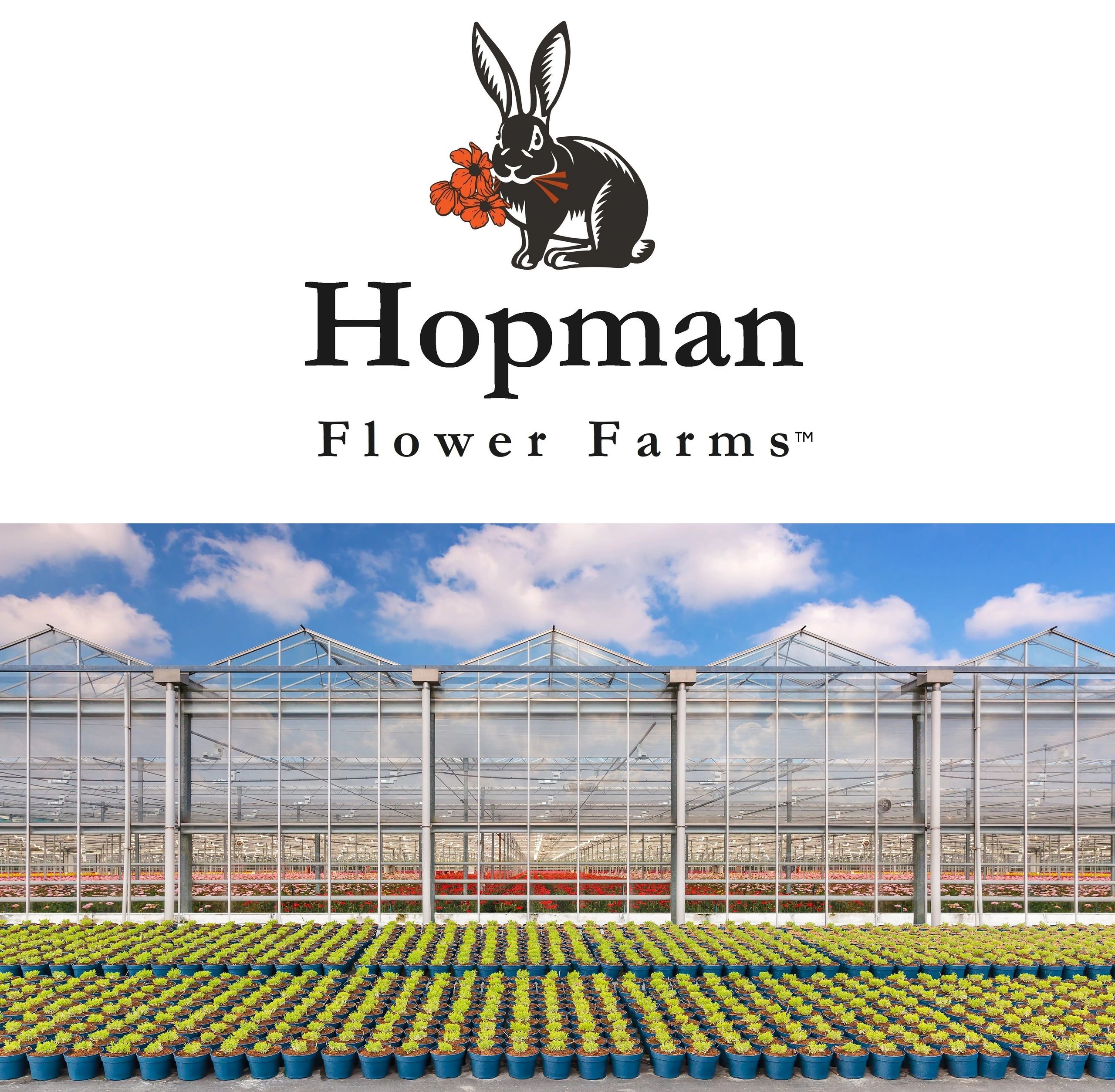 Products | Hopman Flower Farms