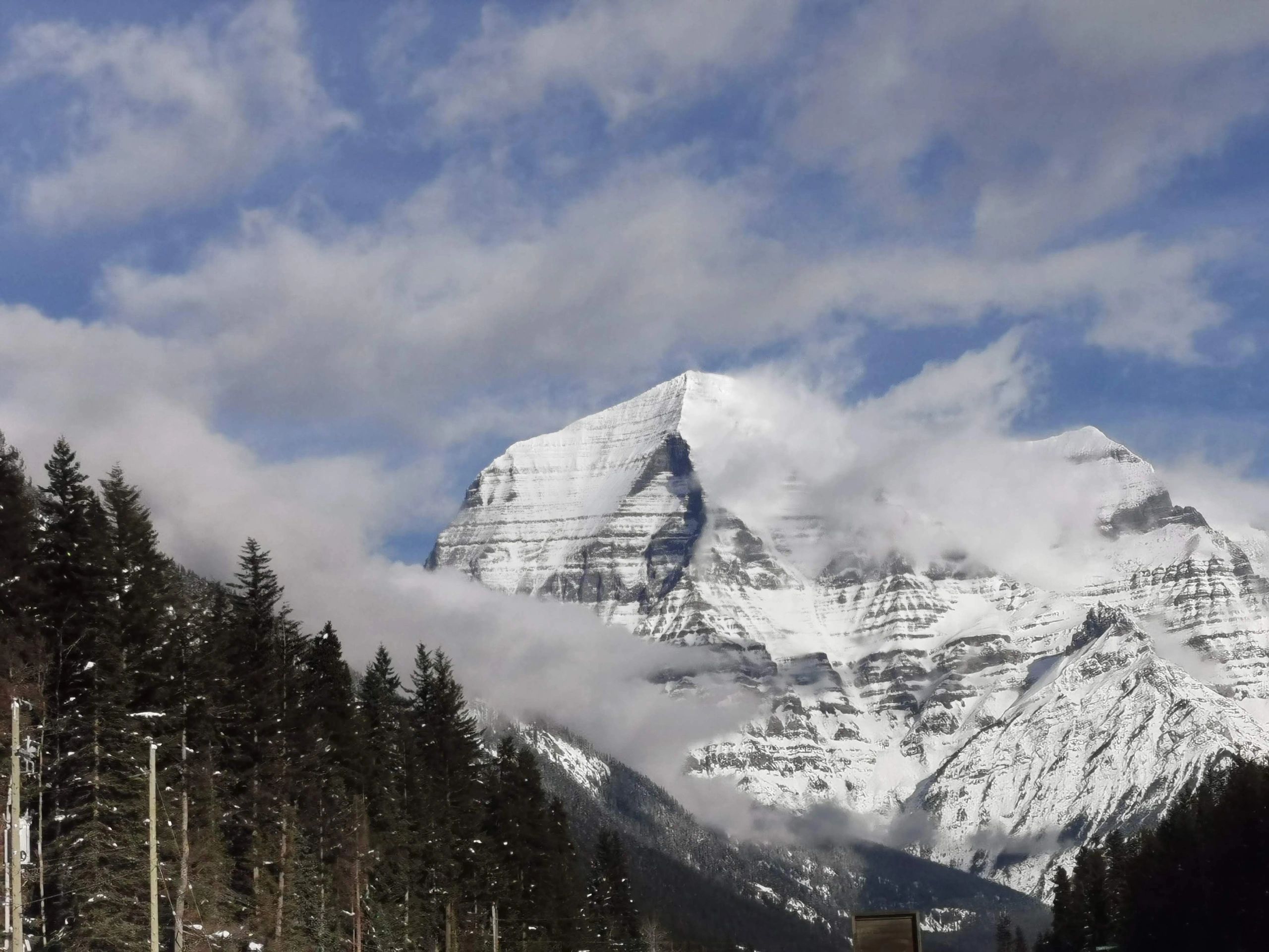 Our Team | Rhino Reforestation Services