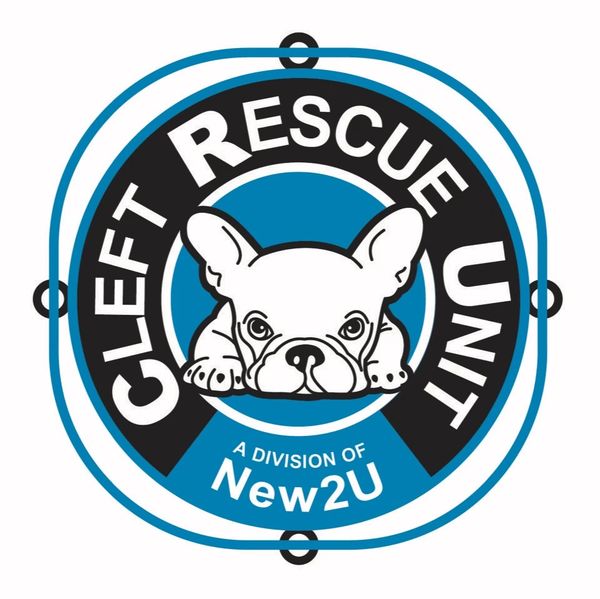 Cleft Rescue Unit