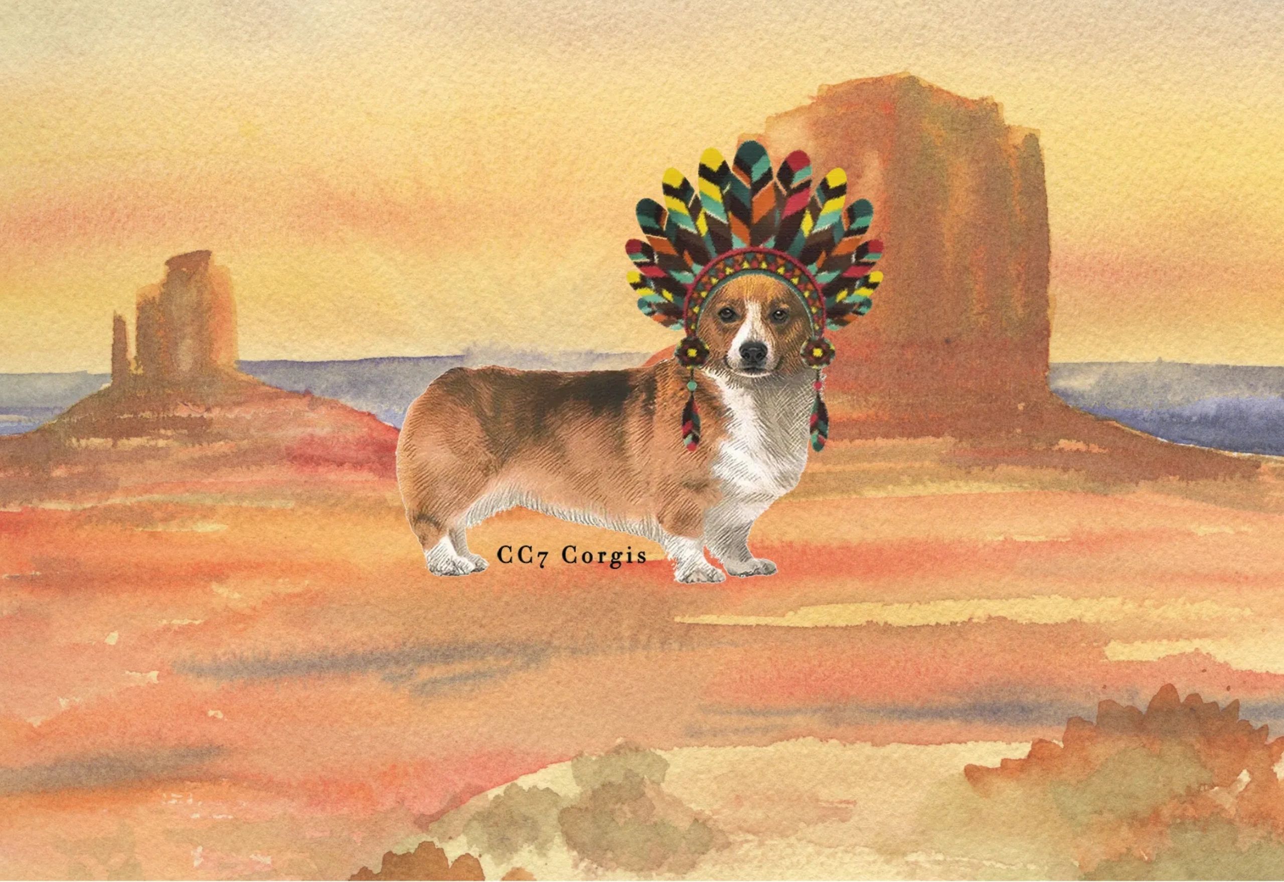 CC7 Corgis - Home