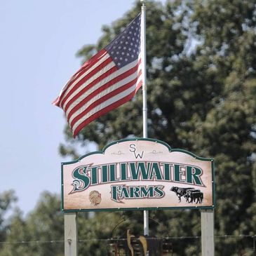 About Stillwater Farms