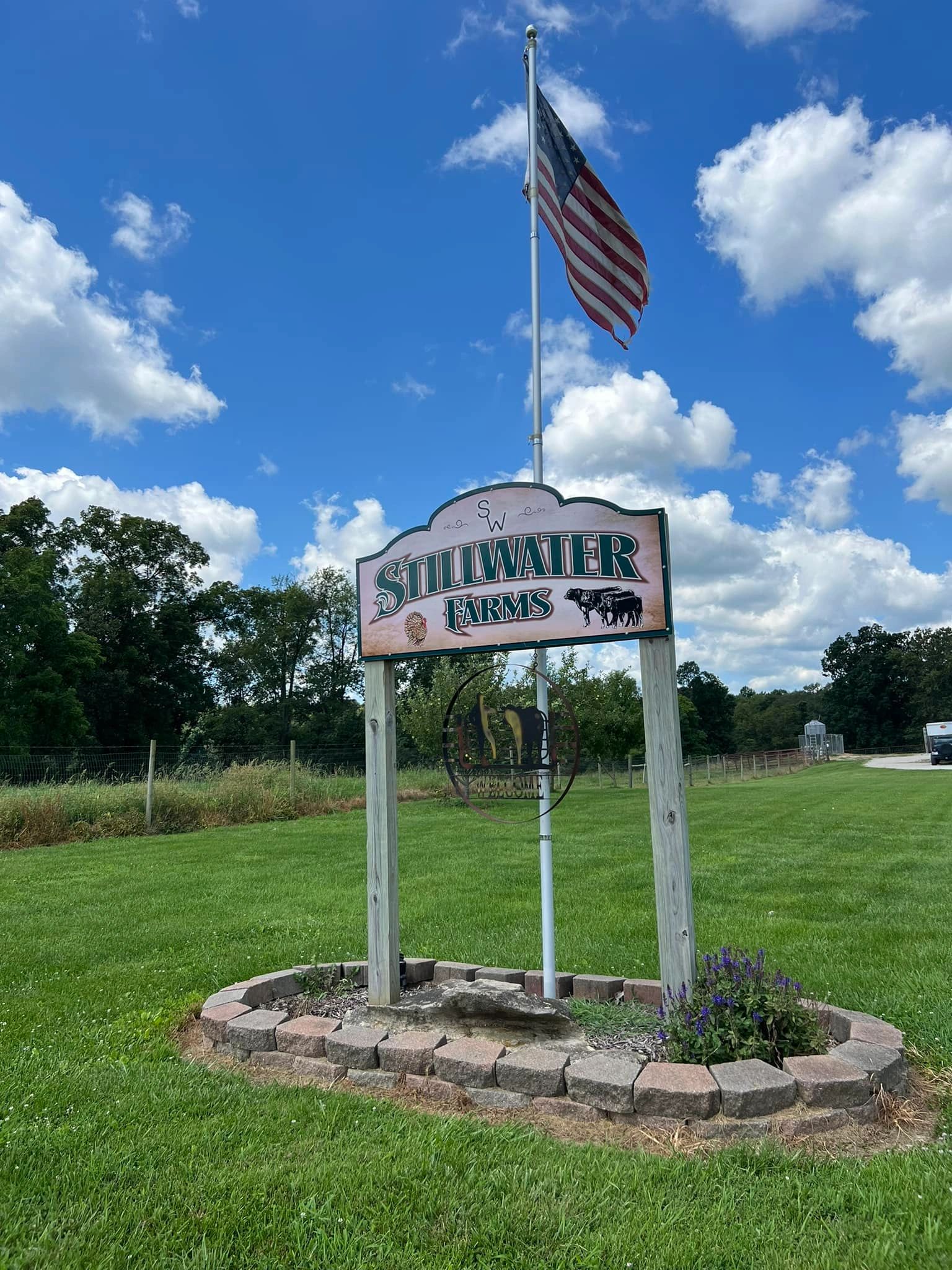 Stillwater Farms - Angus and Braunvieh Cattle, Family Farm