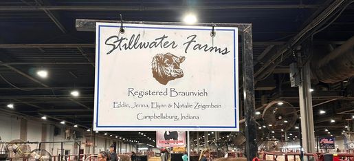 Private Treaty | Stillwater Farms