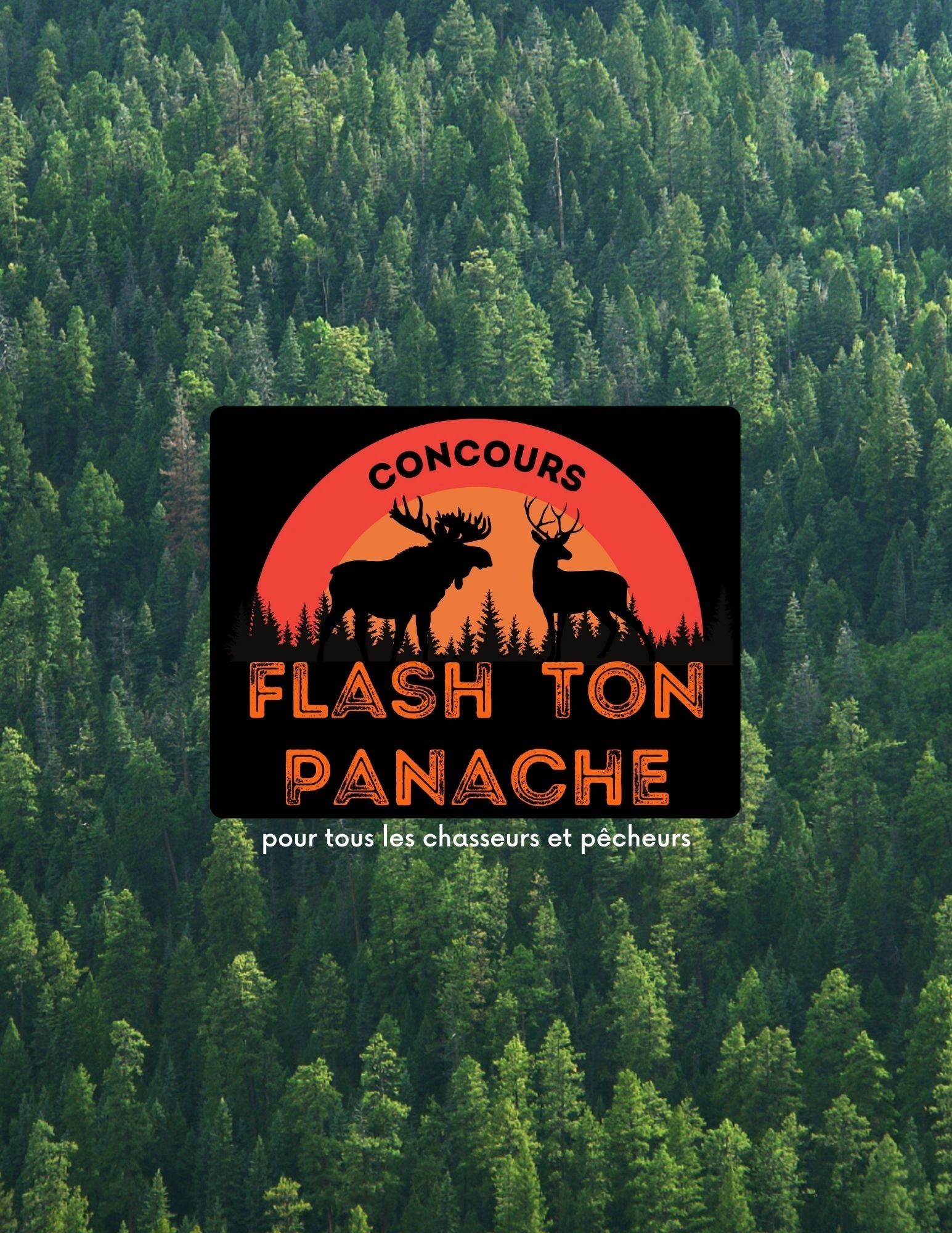 Flash ton panache - Concours Chasse Panache, Panache Orignal Chevreuil ...