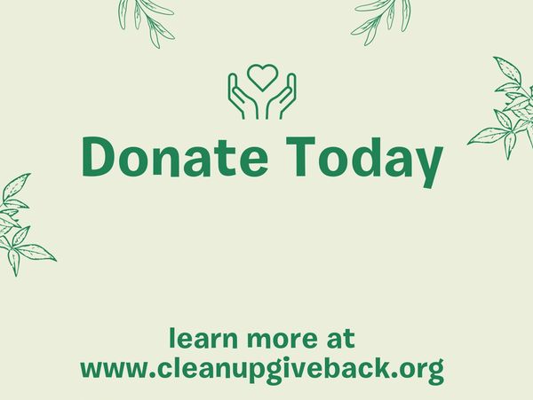 Clean Up - Give Back - Non-Profit, Volunteer Opportunities