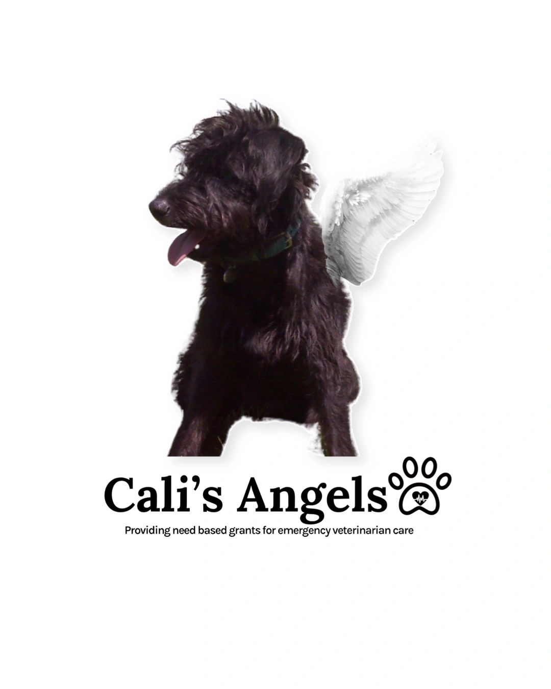 Calis Angels