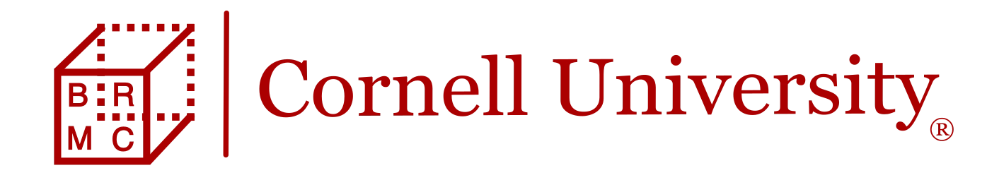 Cornell Big Red Math Competition