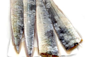 The BIG ONE Cut Bait - UV GLOW Alewife Cut Bait