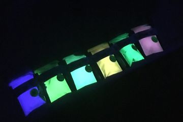 The BIG ONE Cut Bait - UV GLOW Alewife Cut Bait