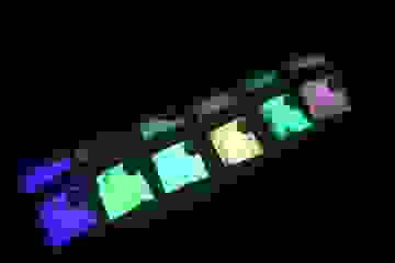 The BIG ONE Cut Bait - UV GLOW Alewife Cut Bait