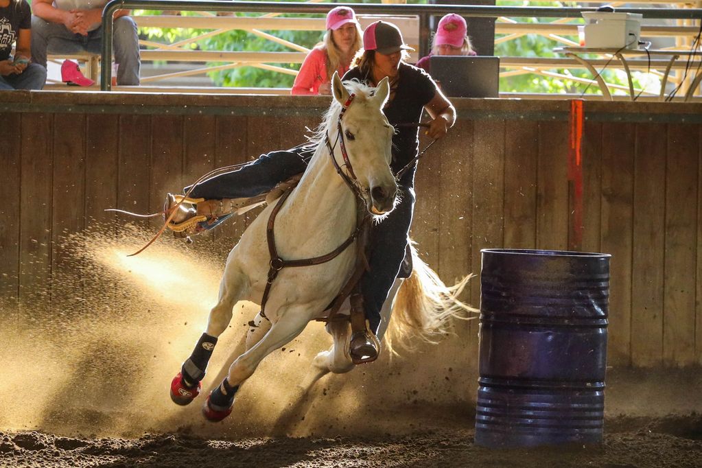 HORSE SHOWS | California Ranch Company CRC Ranch