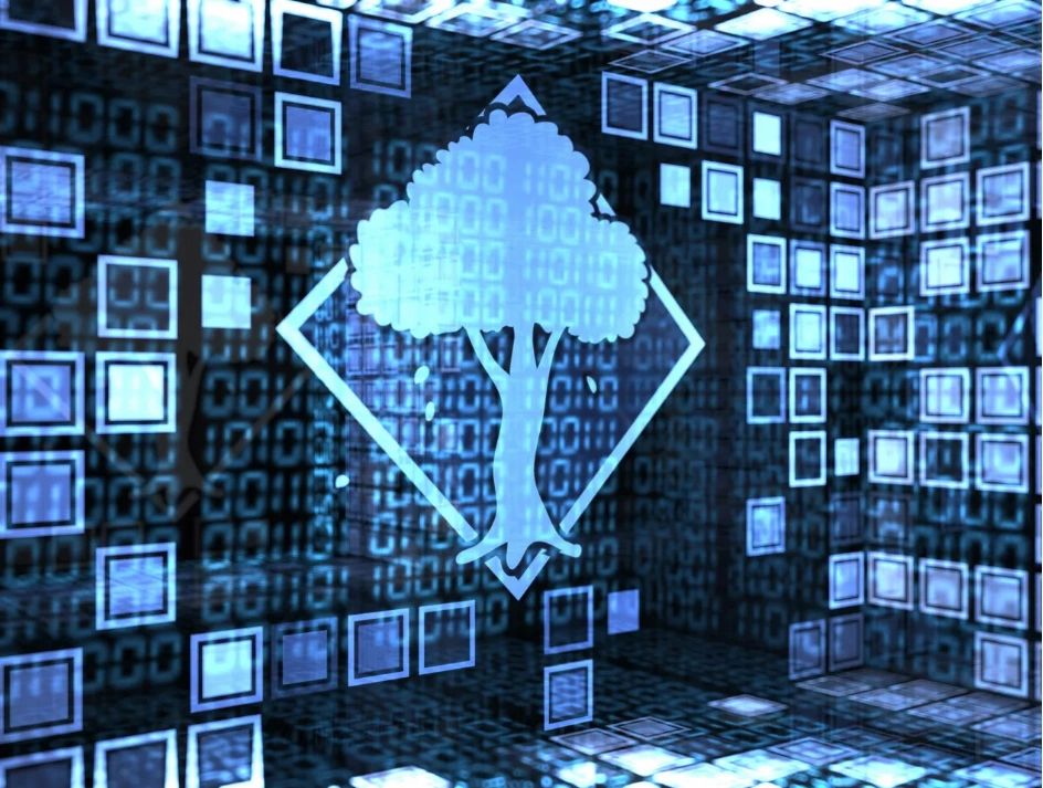 Digital Transformation | Ben Lindsay Consulting