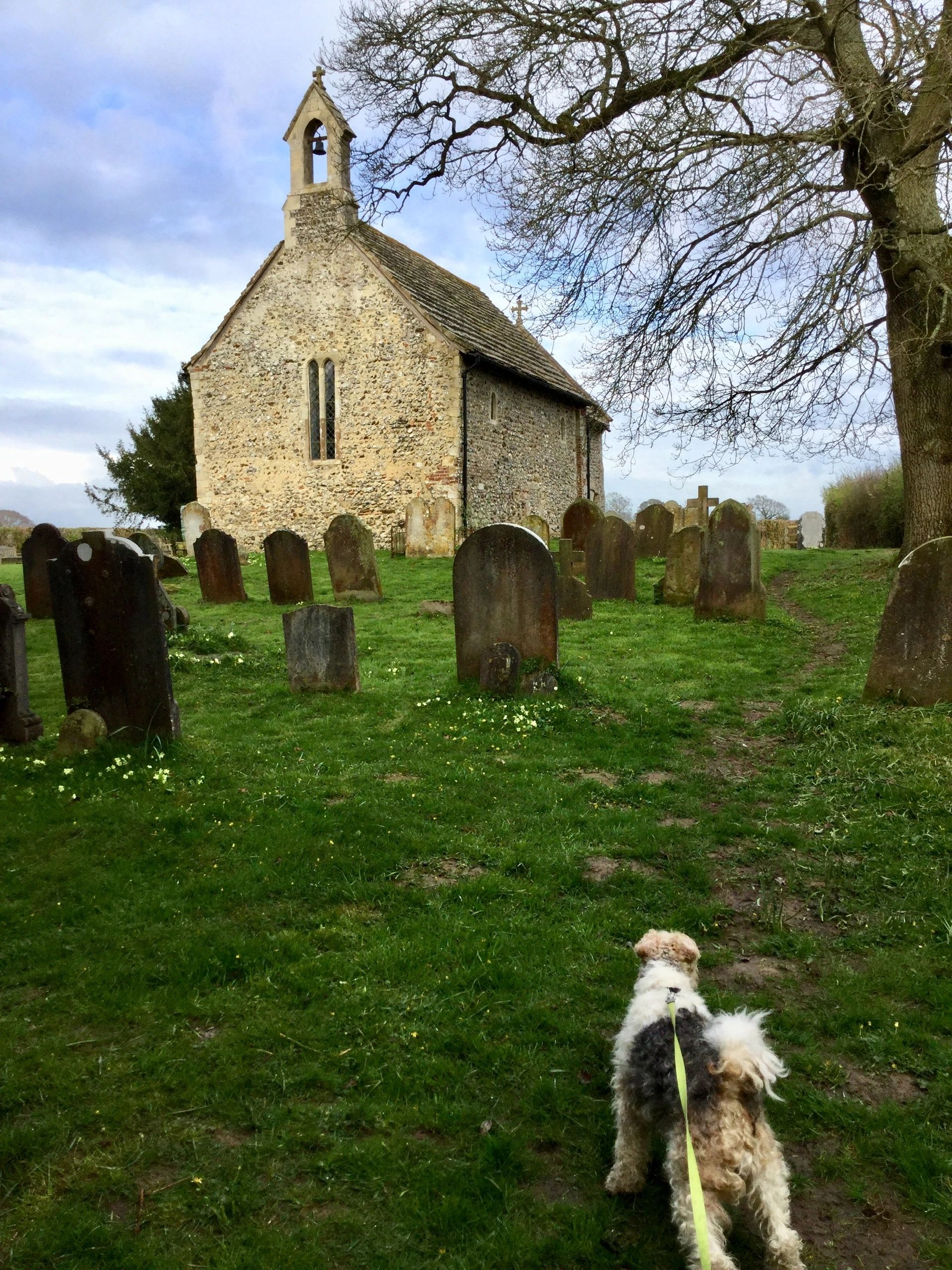 6. Dog Whipping and The Church