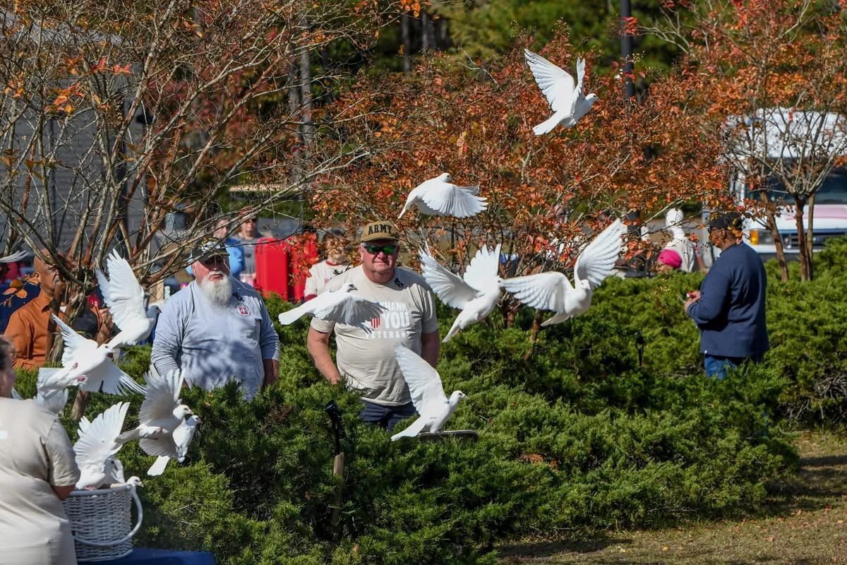 Carolina Doves - Release Love and Peace Today!