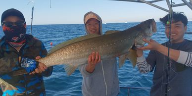 Brisbane fishing charters - Deep Sea Fishing Trips