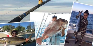 Brisbane fishing charters - Deep Sea Fishing Trips