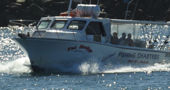 Brisbane fishing charters - Deep Sea Fishing Trips