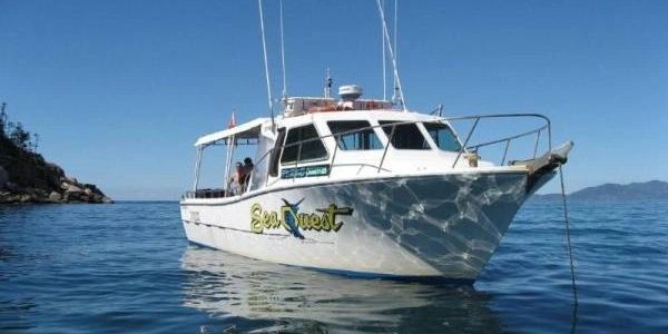 Brisbane fishing charters - Deep Sea Fishing Trips