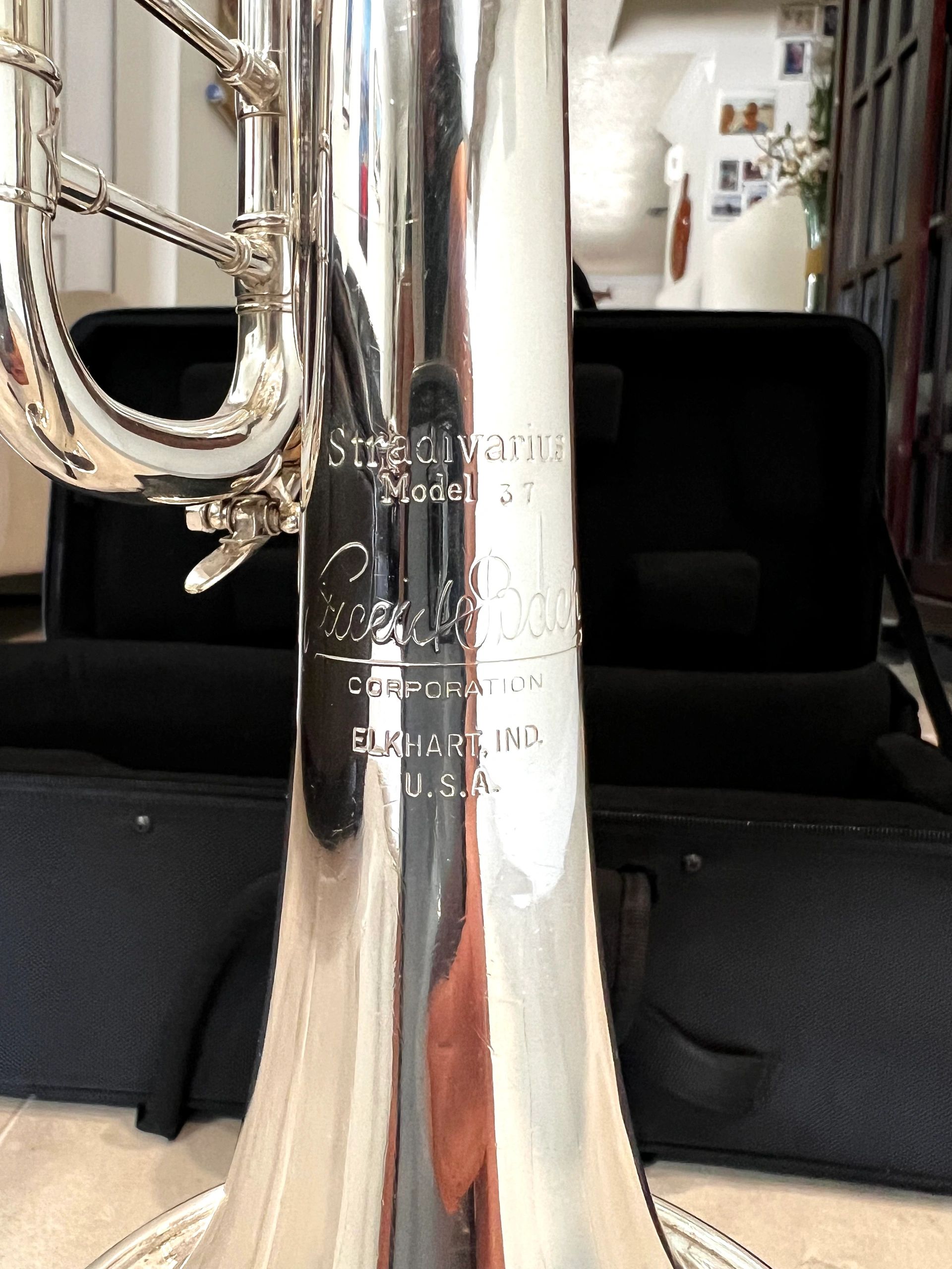 Trumpet Buzz, Exceptional Horns