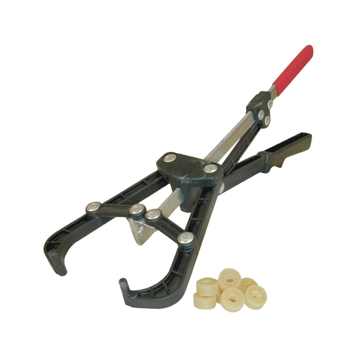 Tri-Band Calf Bander