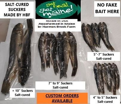 5-7" SUCKERS/ Salt Cured/ vac-packed: 4 or 6ct: