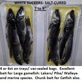 7-9" SUCKERS/ Salt Cured/ vac-packed: 3, 4 or 6ct: