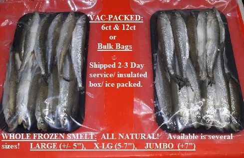 WHOLE FROZEN BAIT>>>>>> Custom orders only: Late NOV to MARCH 1